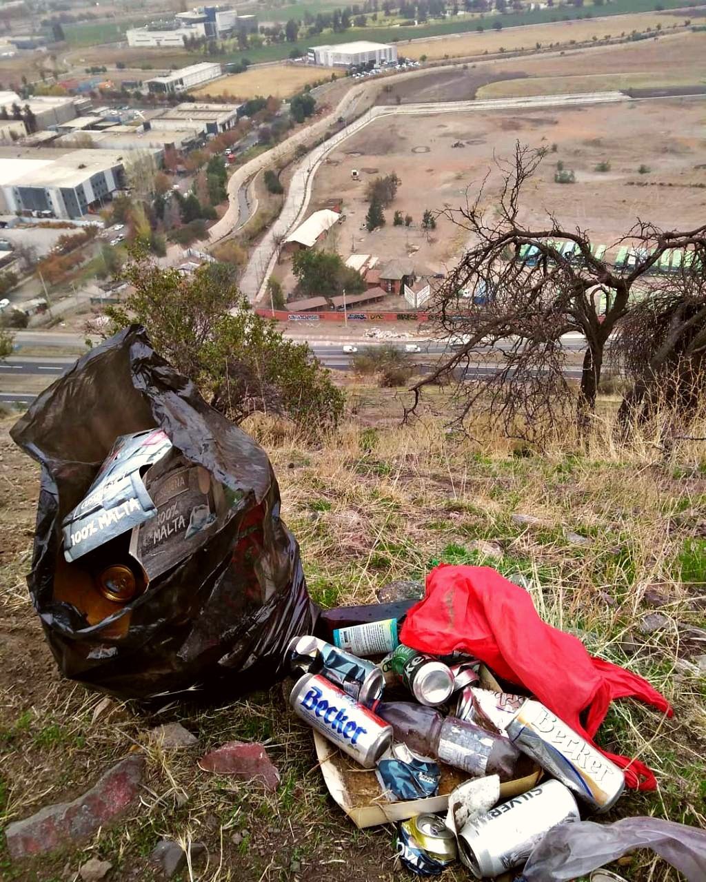 ¿Existe cultura ambiental en Chile?: Conoce los 7 principios de «No ...